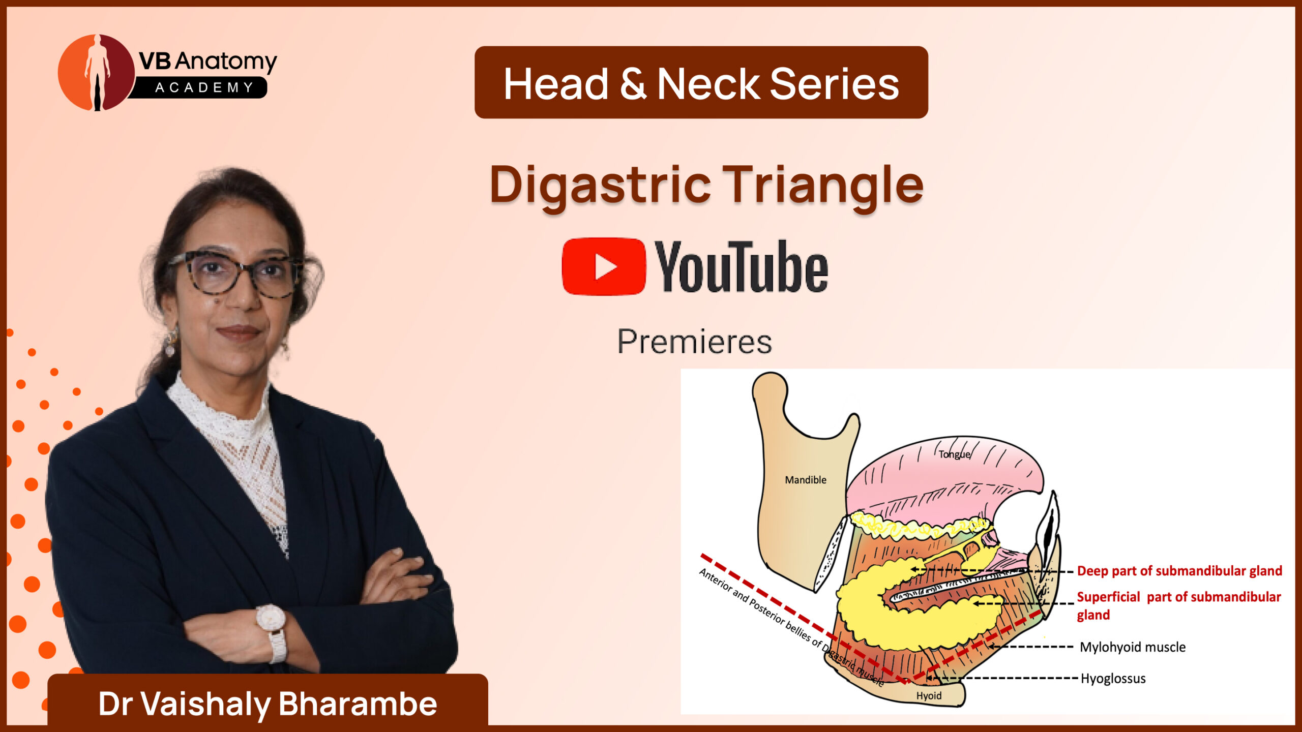 Unlocking the Secrets of the Digastric Triangle - VB Anatomy